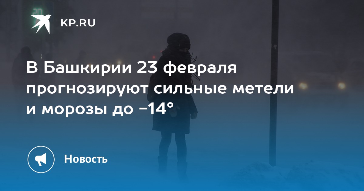В Башкирии 23 февраля прогнозируют сильные метели и морозы до -14° - KP.RU