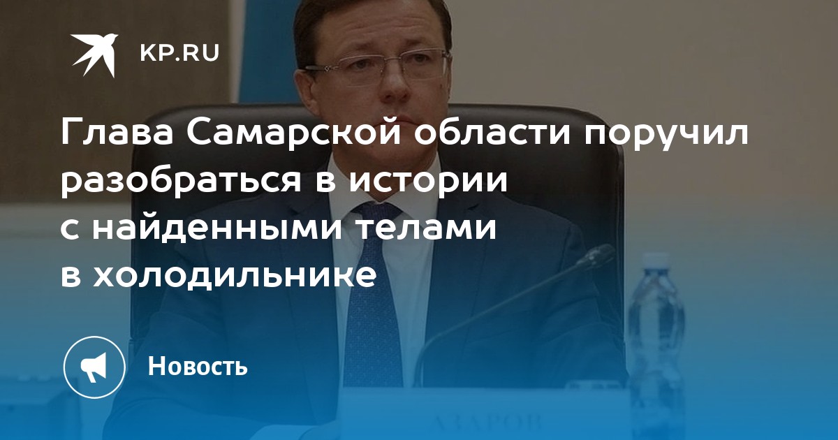 Глава Самарской области поручил разобраться в истории с найденными ...